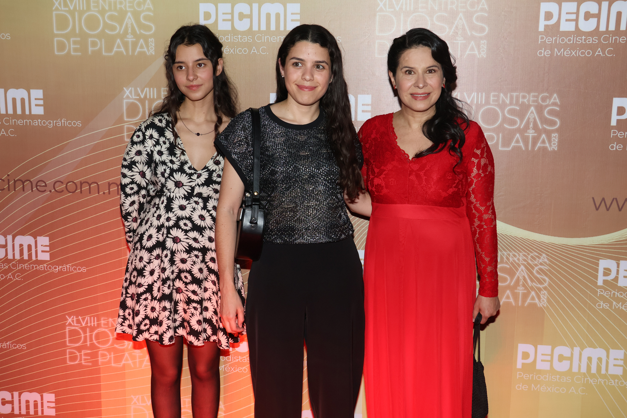 Alfombra Roja Pecime